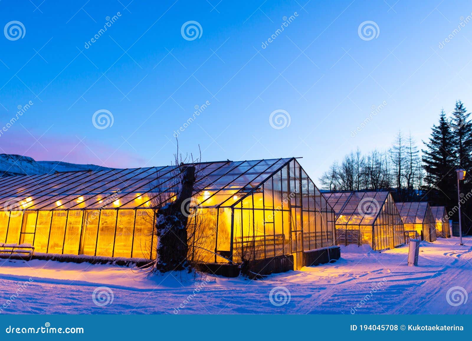 Industrial Greenhouses for Growing Plants in Winter Stock Photo - Image ...