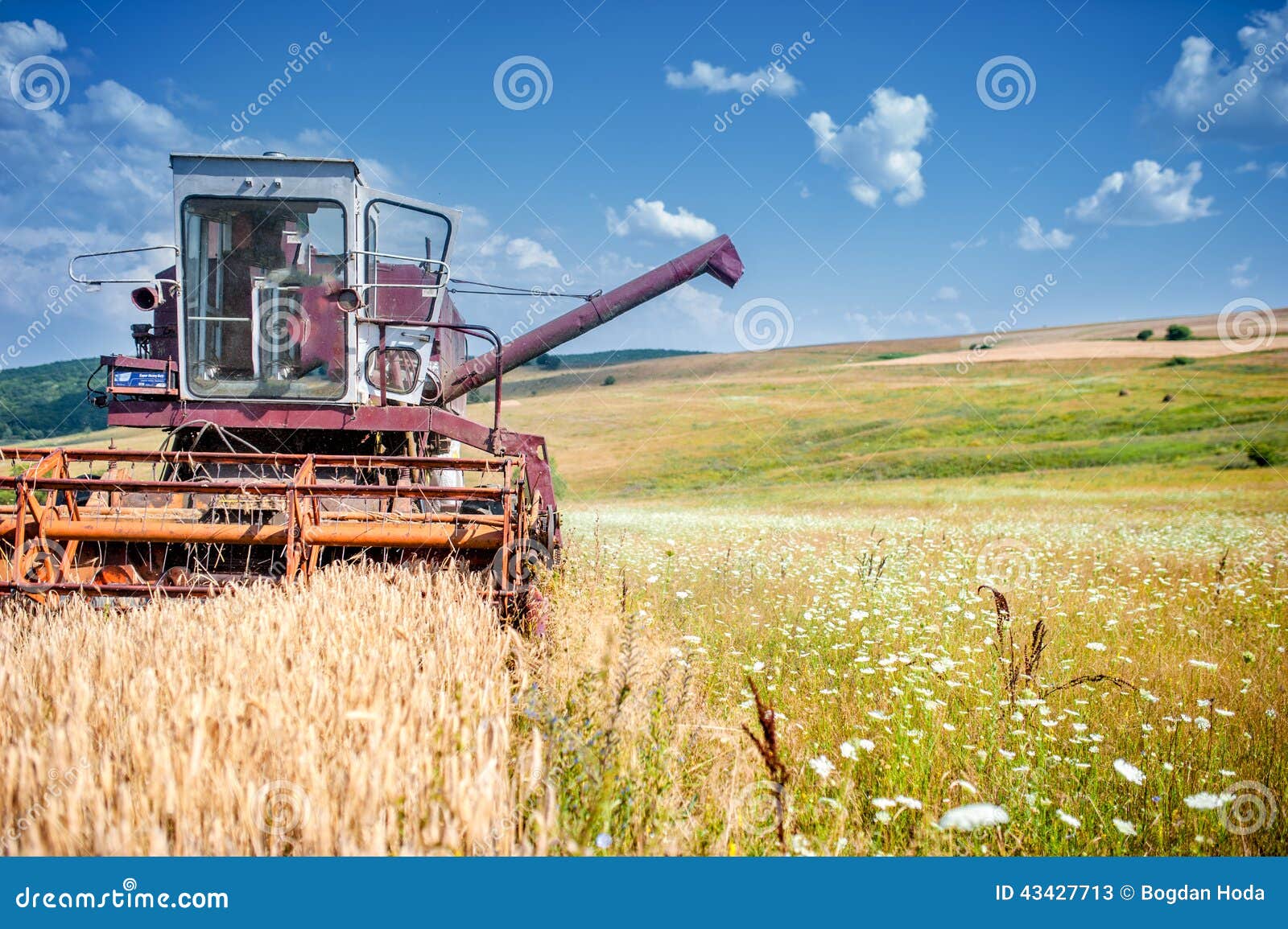 Industrial Harvesting Process with a Specialized Combine Harvest Stock ...