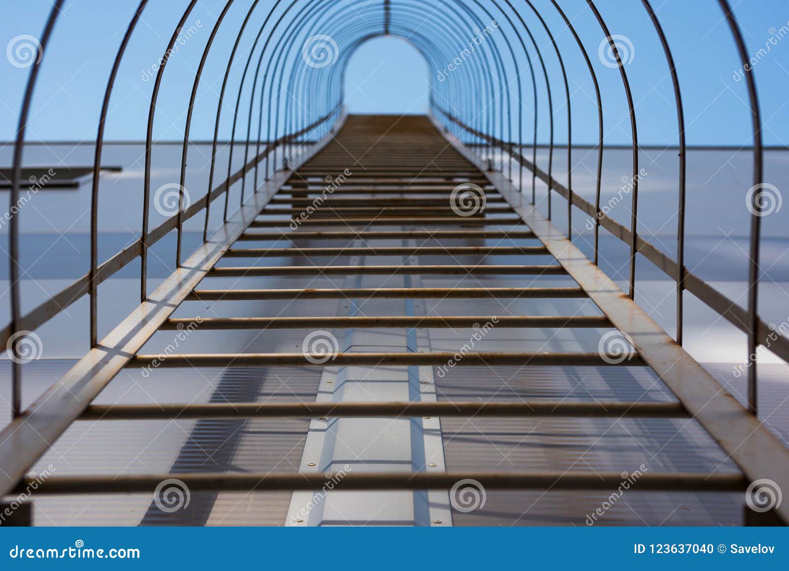 Industrial Ladder on the Facade of the Building Going Up To the Sky ...