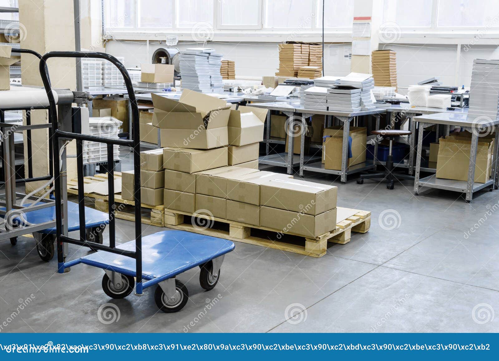 Industrial Packaging Workshop Stock Photo - Image of factory, boxes ...