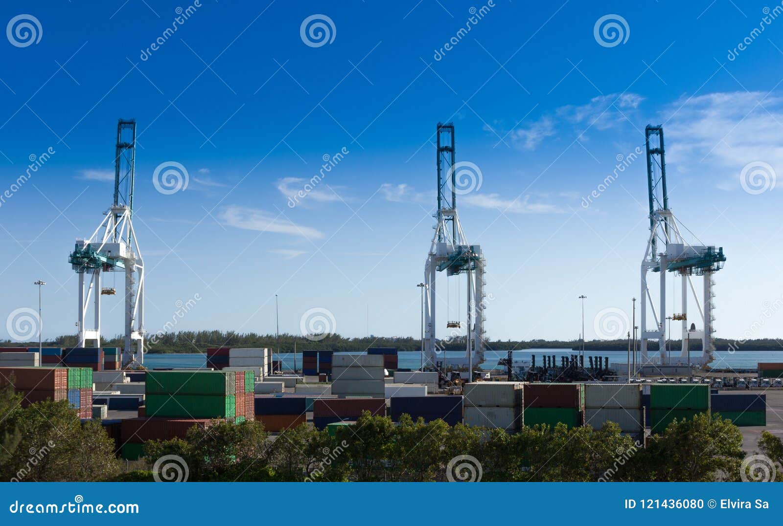 Industrial Port in Miami, Shipyard, Cargo Cranes and Containers Stock ...