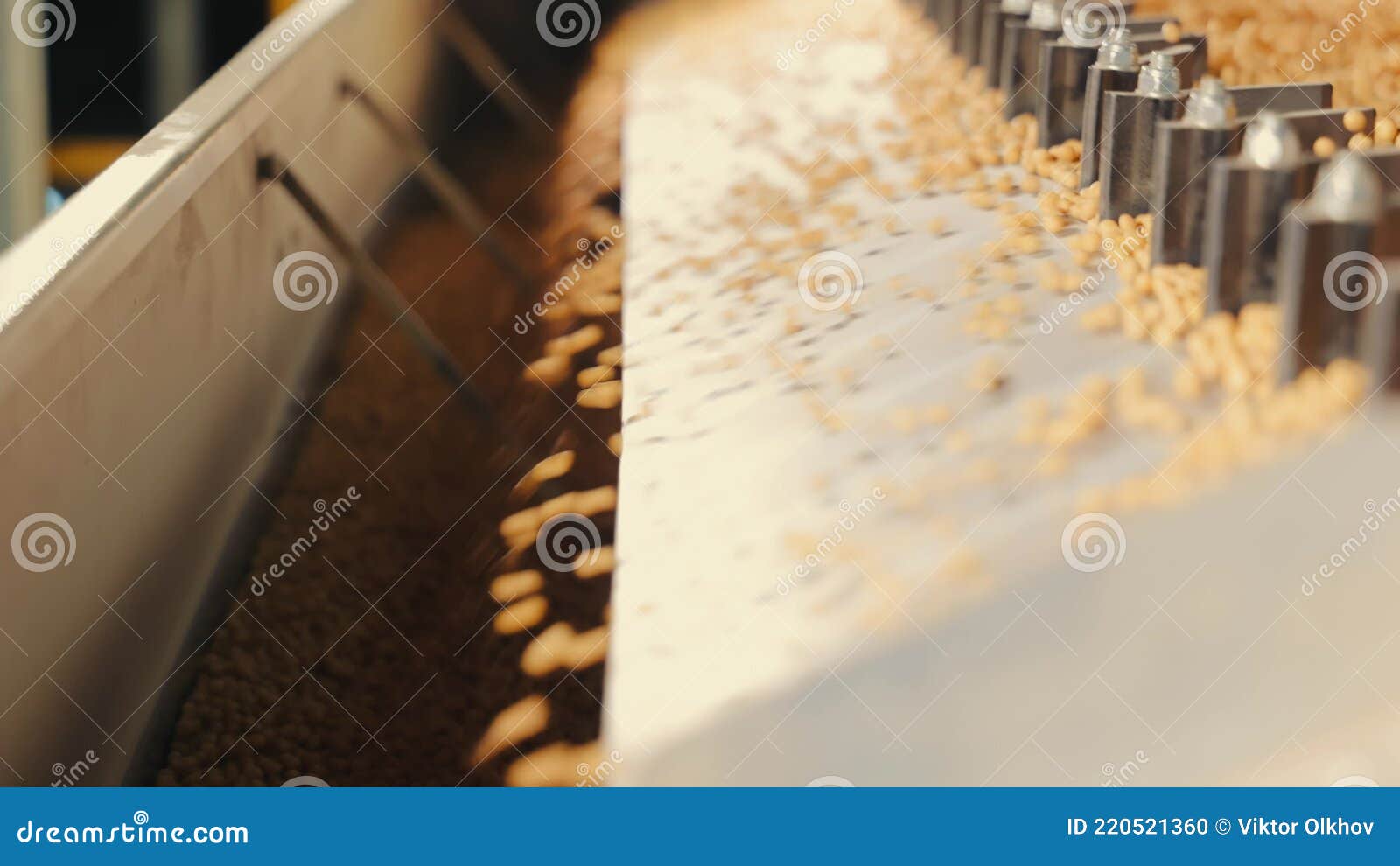 Industrial Processing of Soybeans. Cleaning for Further Storage of ...