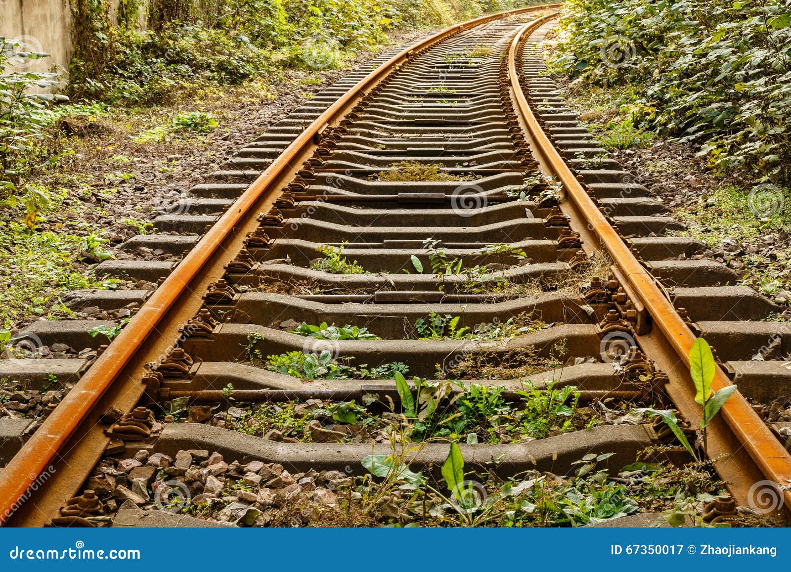 Industrial Railway Carriage Transporting Lumber By Rail Royalty-Free ...