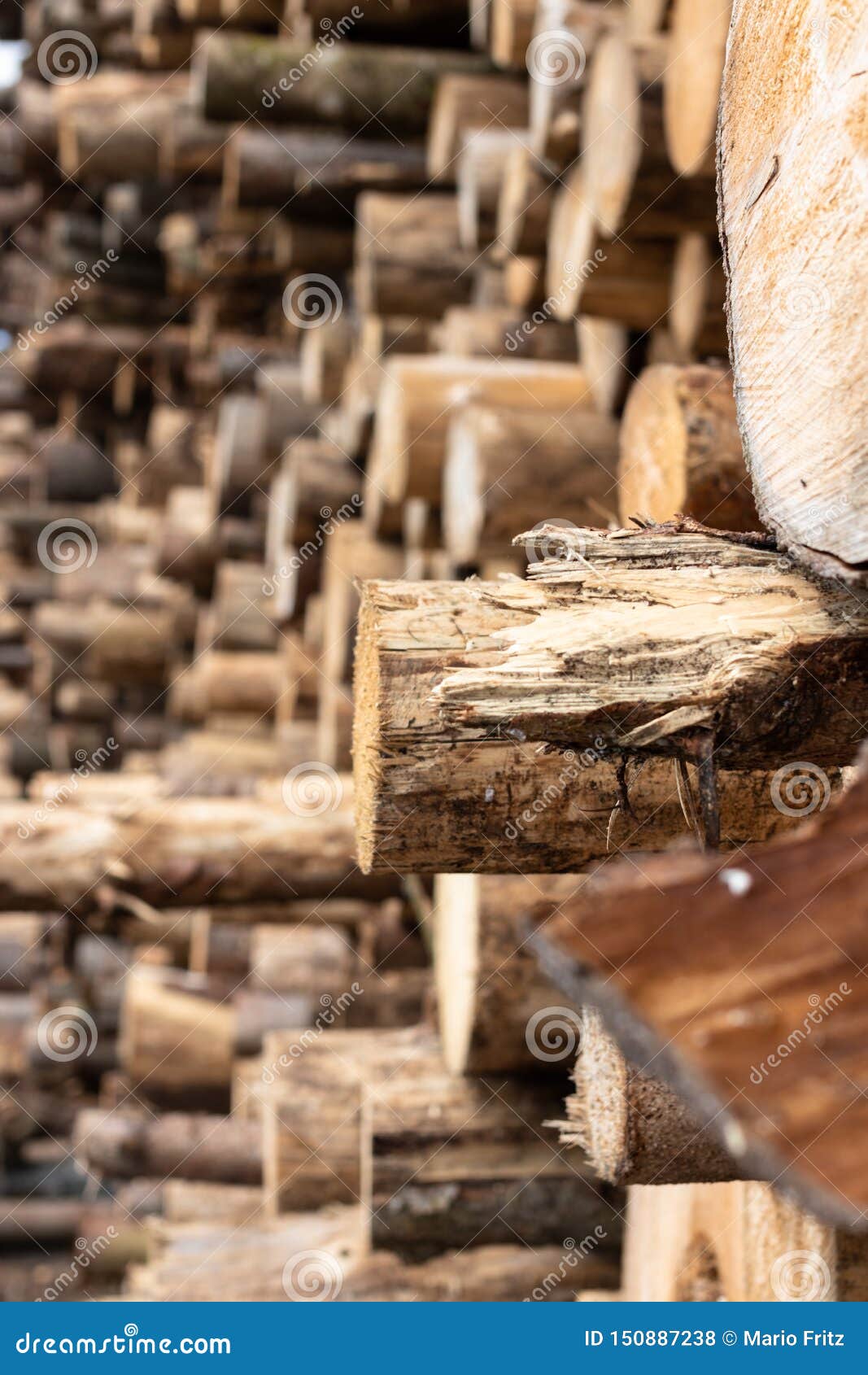 An Industrial Stack of Tree Trunks. Stock Photo - Image of industri ...