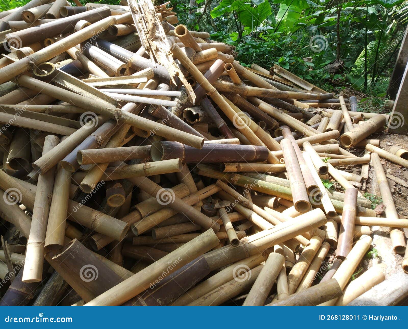 Industrial waste bamboo. stock image. Image of reusable - 268128011