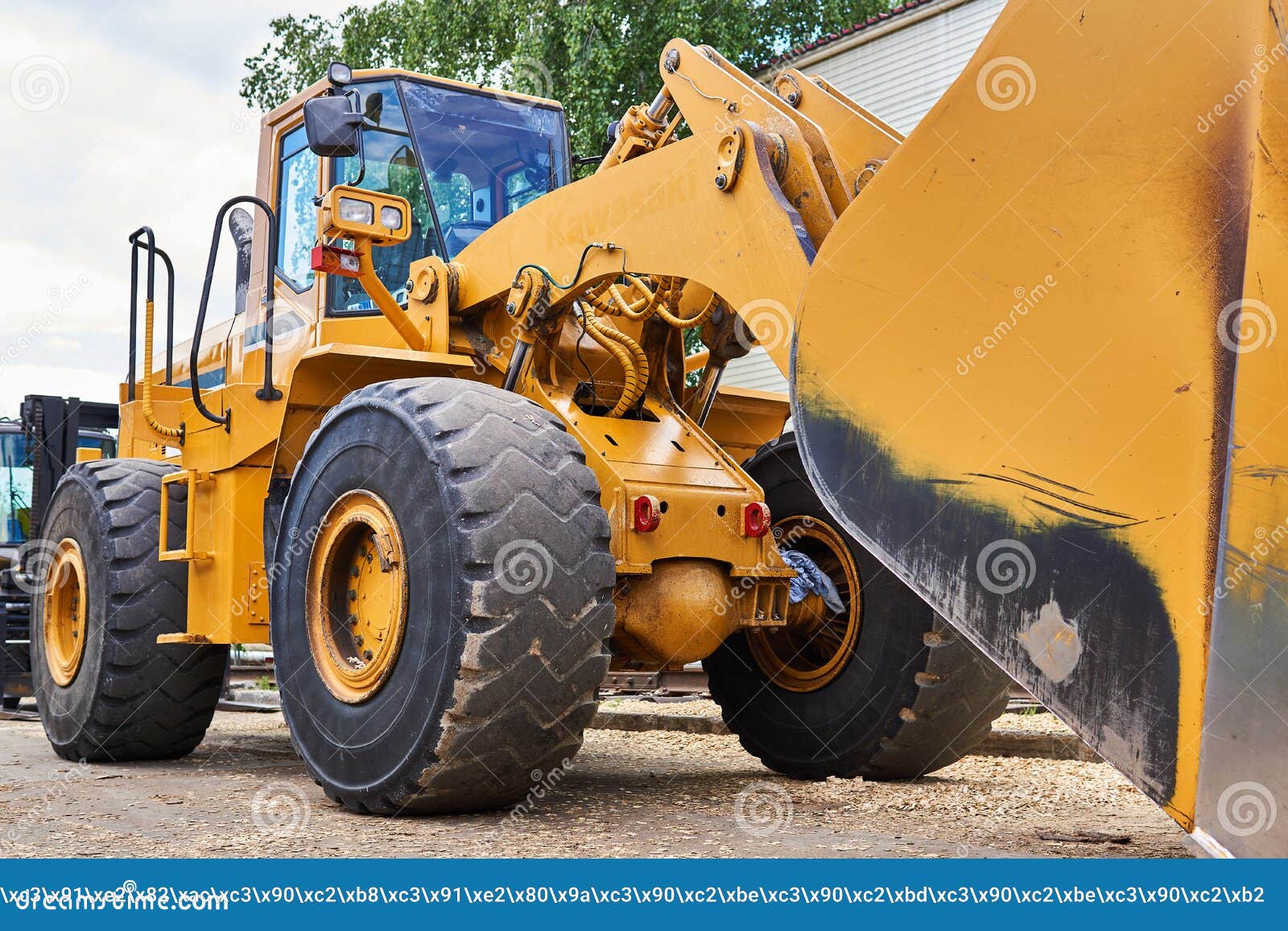 Industrial Wheel Loader Close-up Stock Photo - Image of high, payloader ...