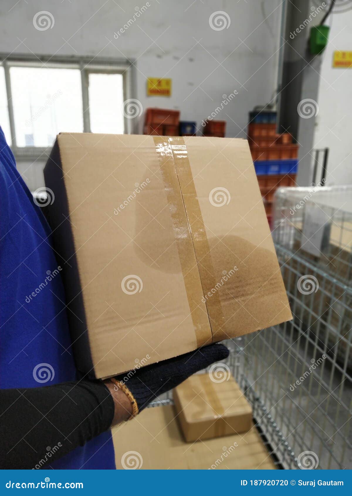 The Industrial Workers Carry on Carton Box with Hand Gloves Stock Photo ...