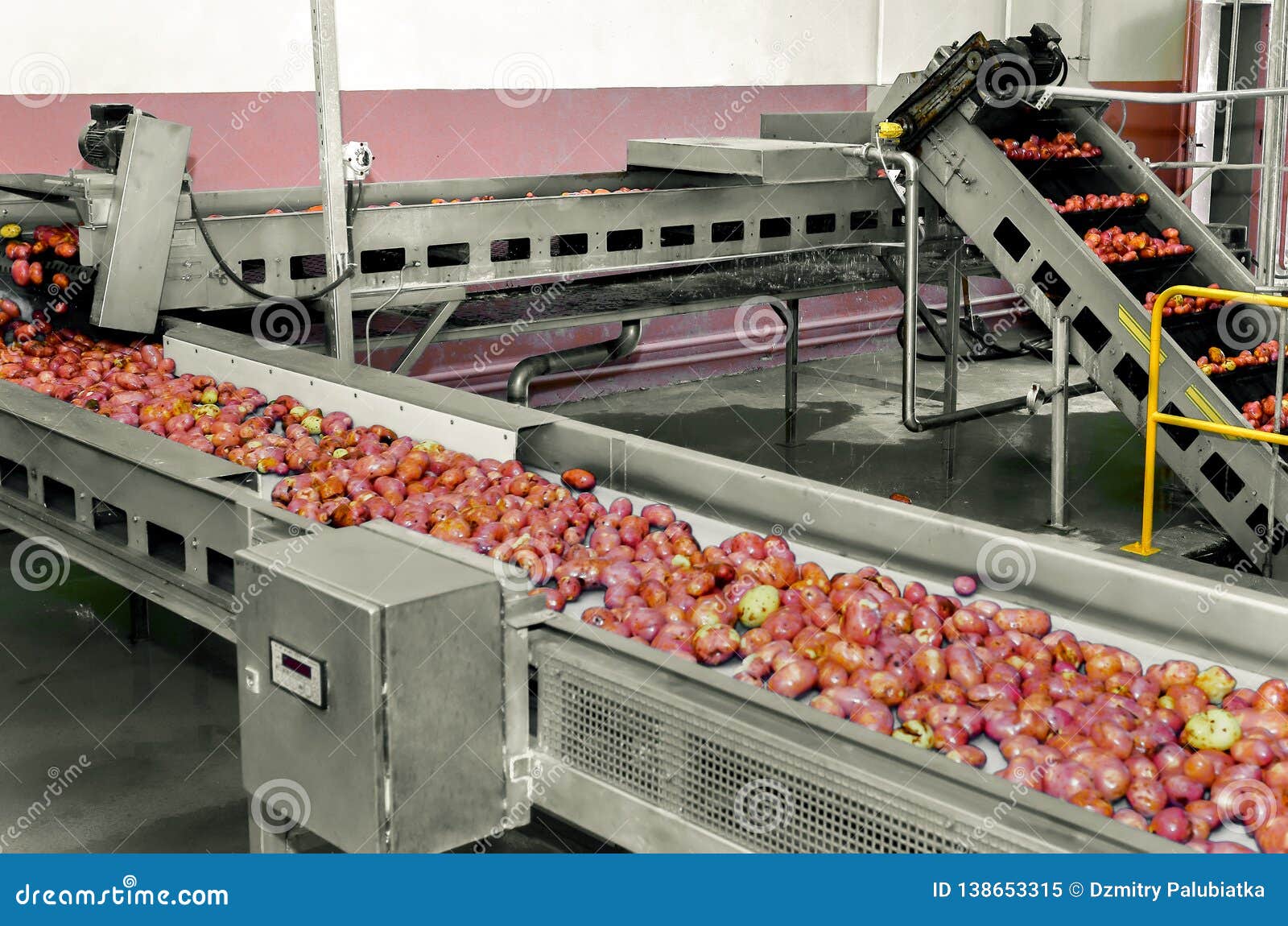 Industrial Workshop for the Production of Starch. Processing of ...