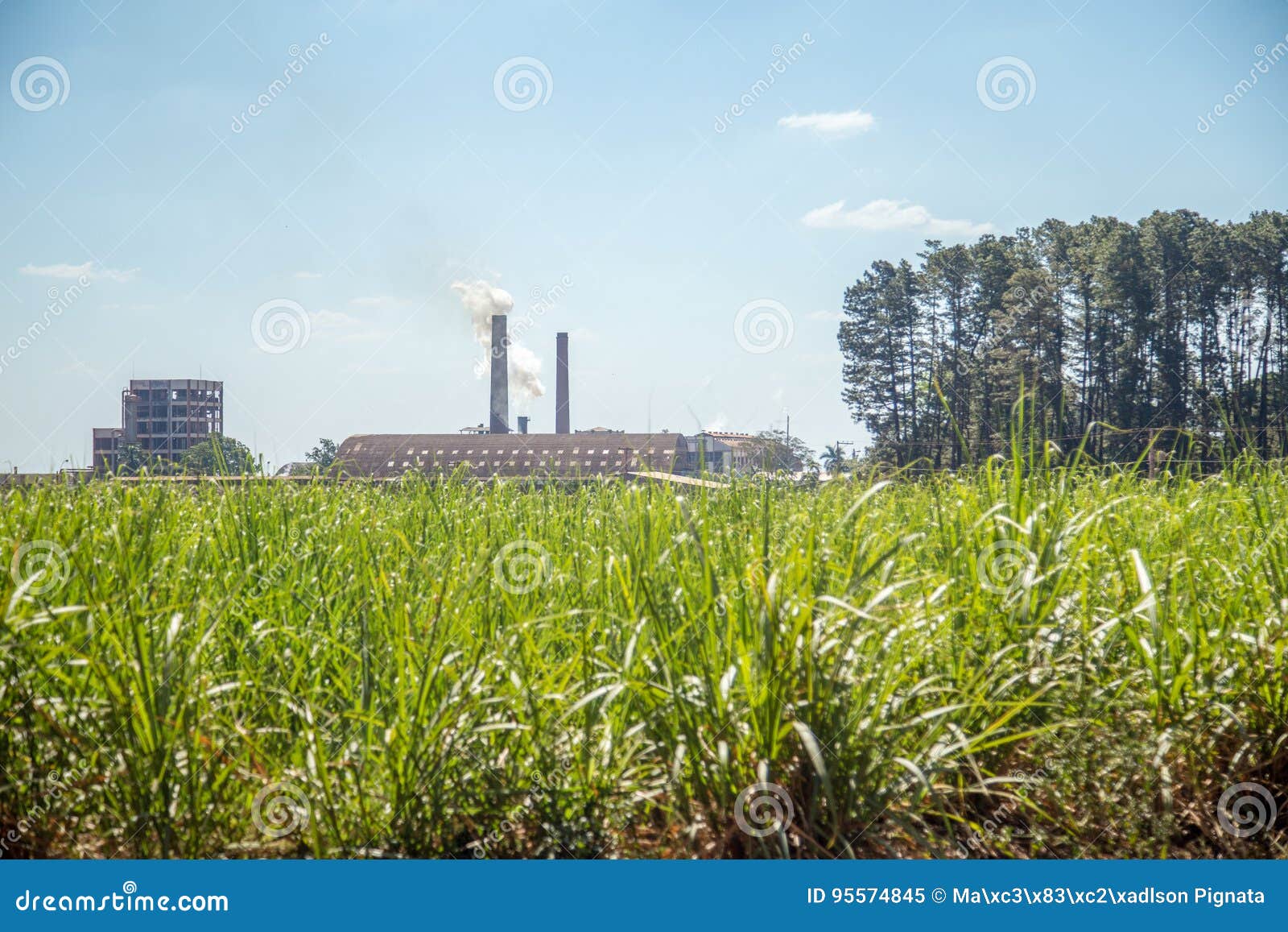 Industry sugar cane stock image. Image of cane, mill - 95574845