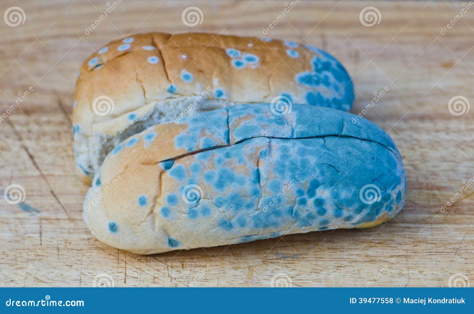 Inedible food stock photo. Image of fungi, organism, moldy - 39477558
