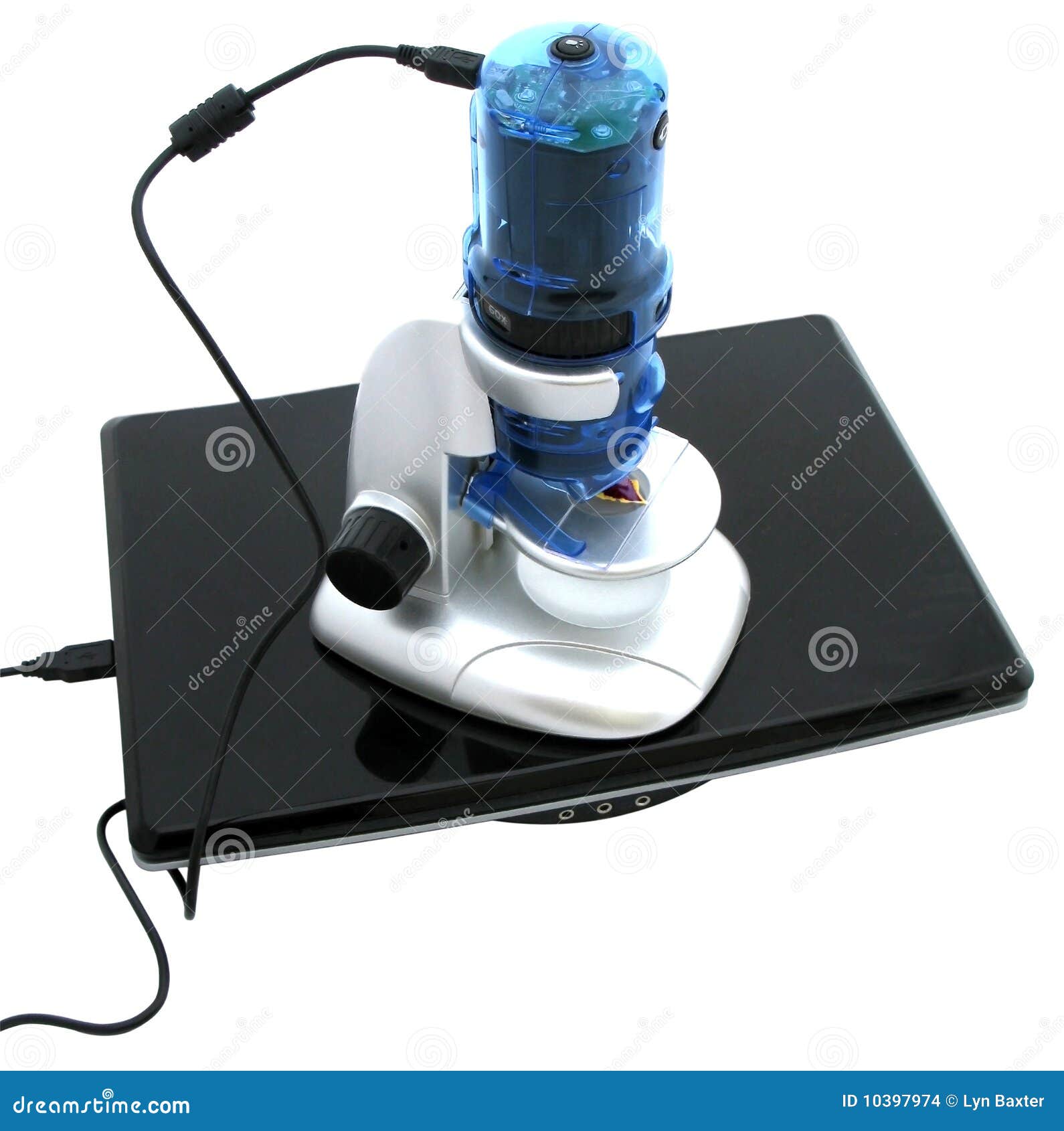 An Electron Microscope Image Shows The Intricate Structures Of A Solar ...