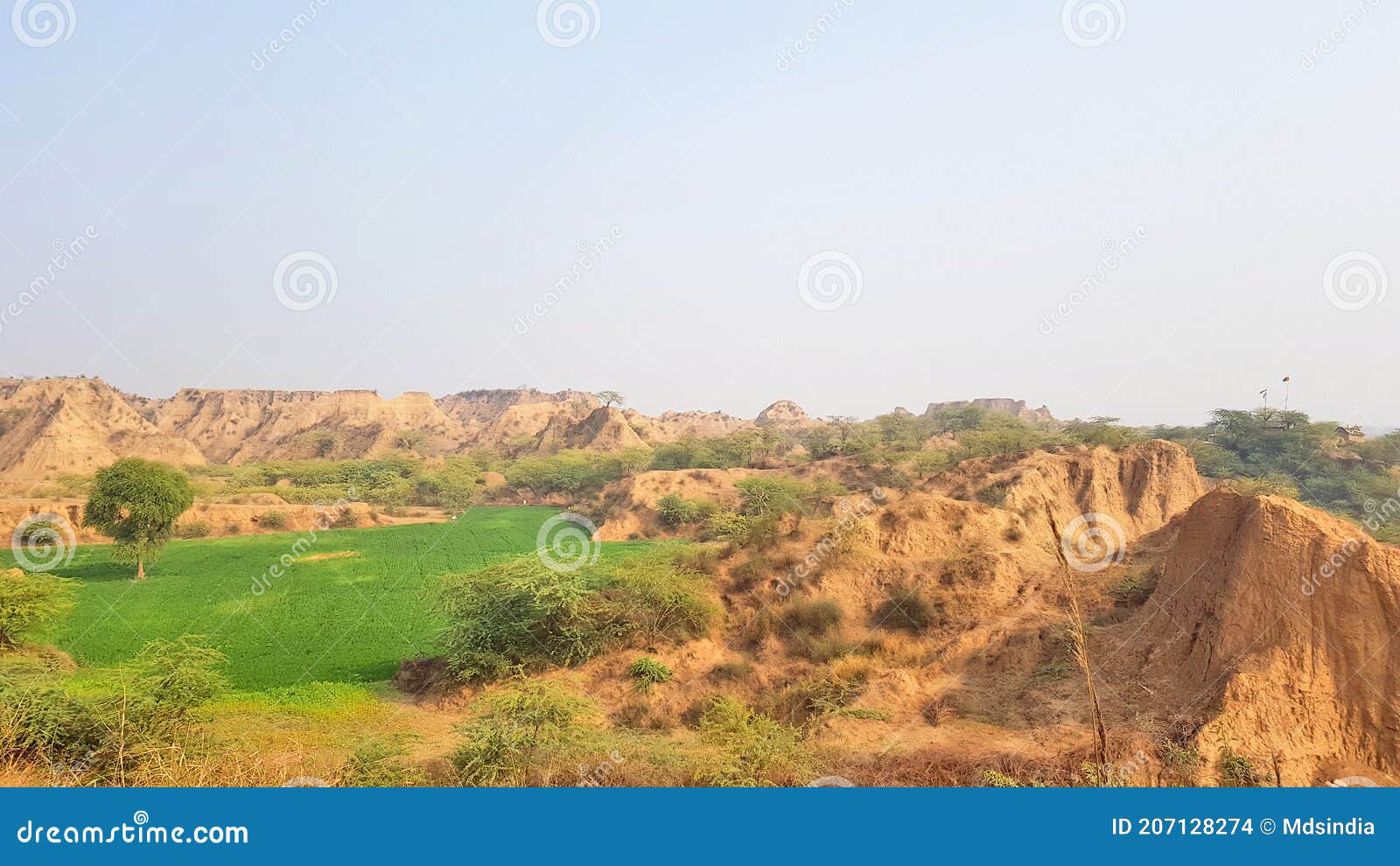 Chambal Valley stock photo. Image of sand, rajasthan - 207128274