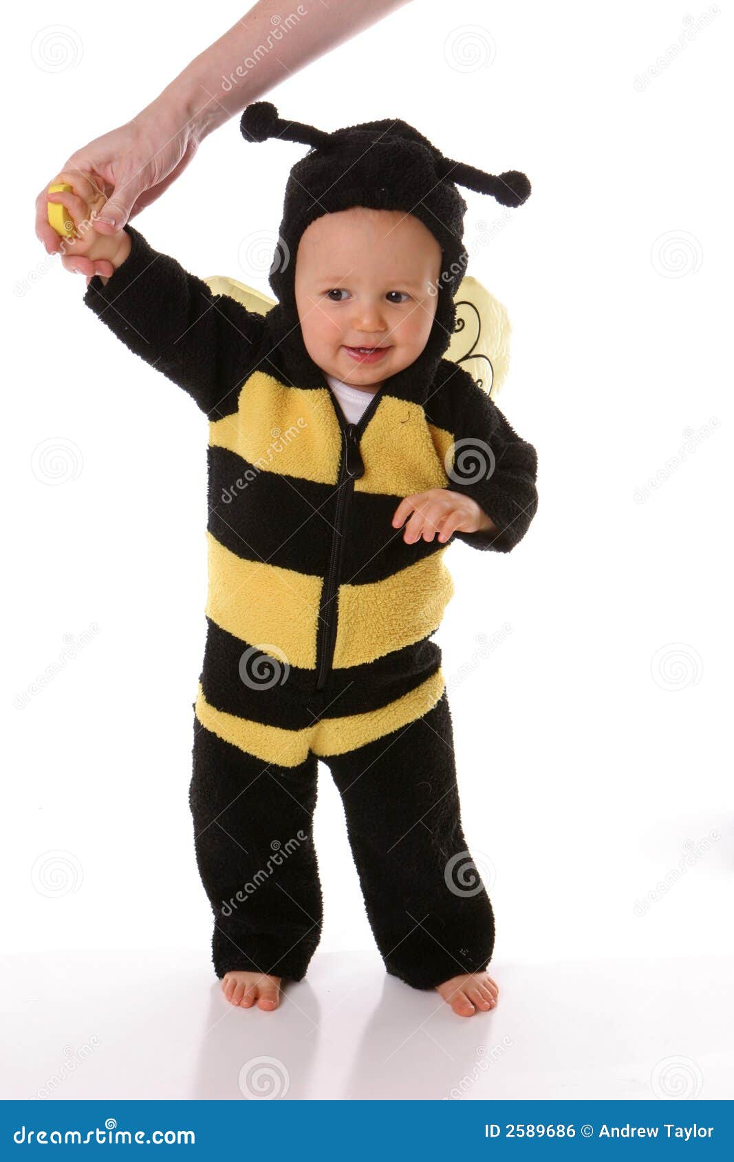 Infant baby bee stock photo. Image of person, children - 2589686