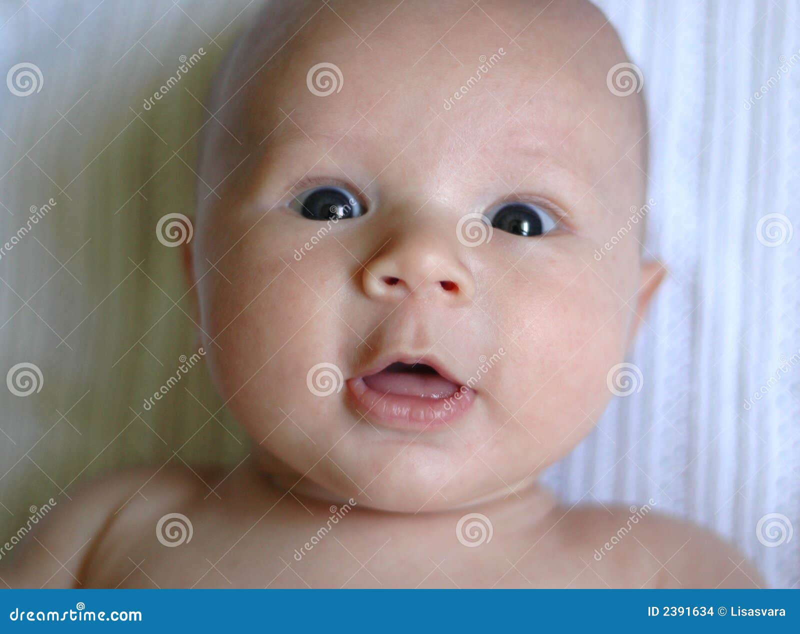Infant Baby Portrait stock photo. Image of light, happy - 2391634