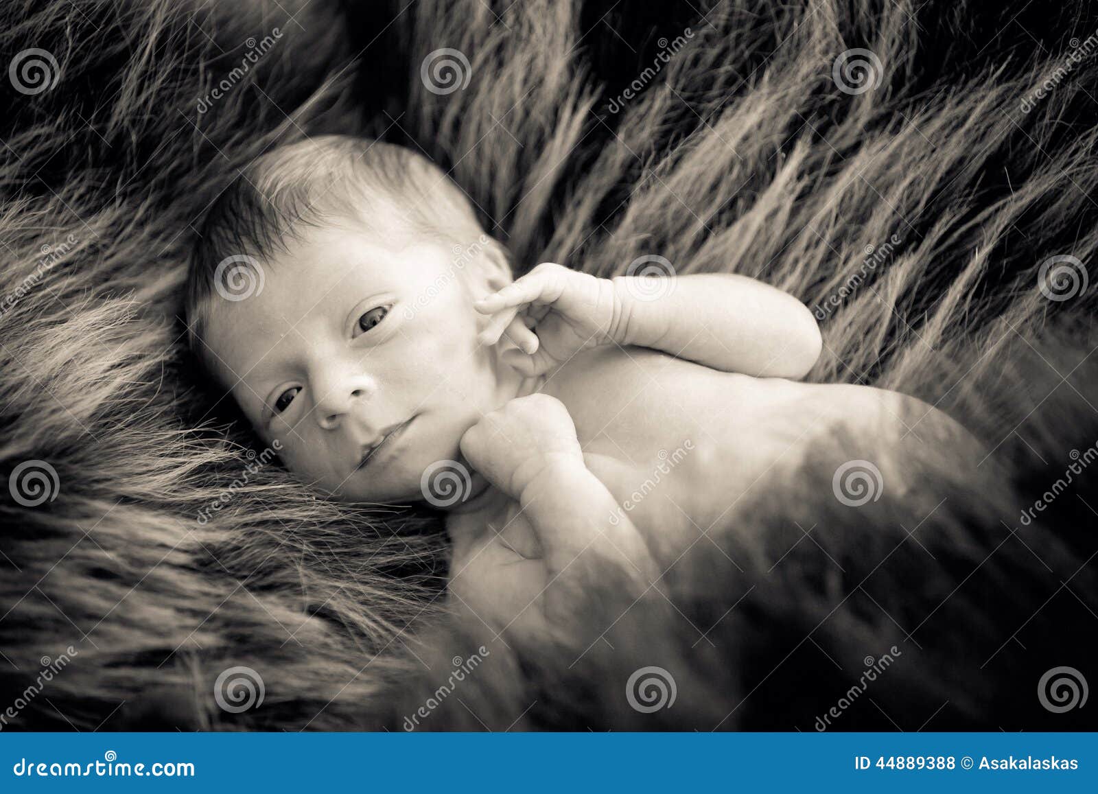Infant boy one week old stock photo. Image of baby, infant - 44889388