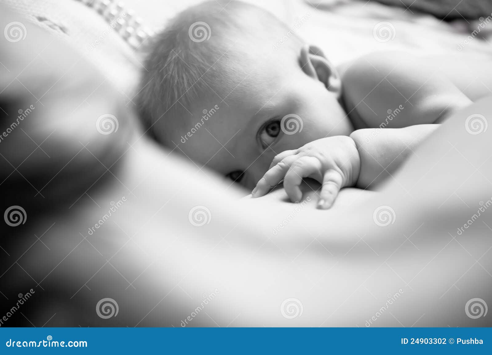 Infant Drinking Mother S Milk Stock Photo - Image of happiness, birth ...