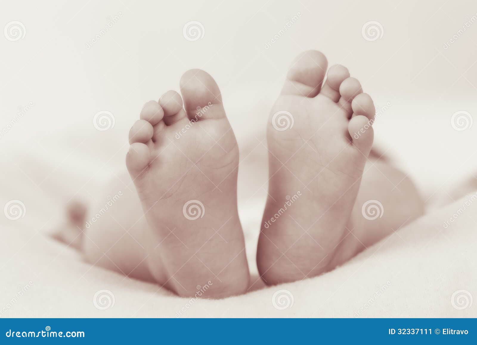 Infant feet stock image. Image of human, infants, male - 32337111