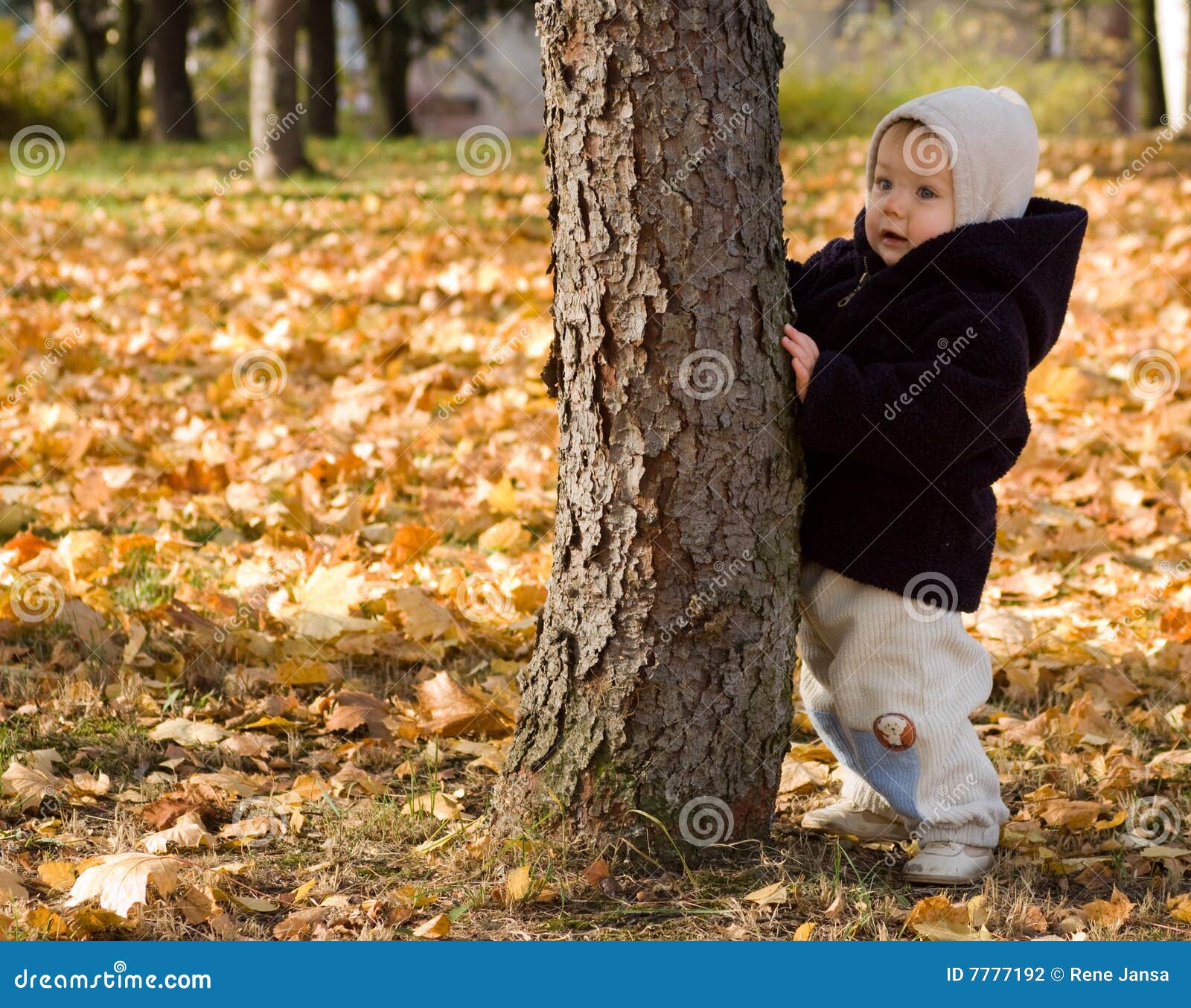 Infant Leaning Autumn Tree Photos - Free & Royalty-Free Stock Photos ...