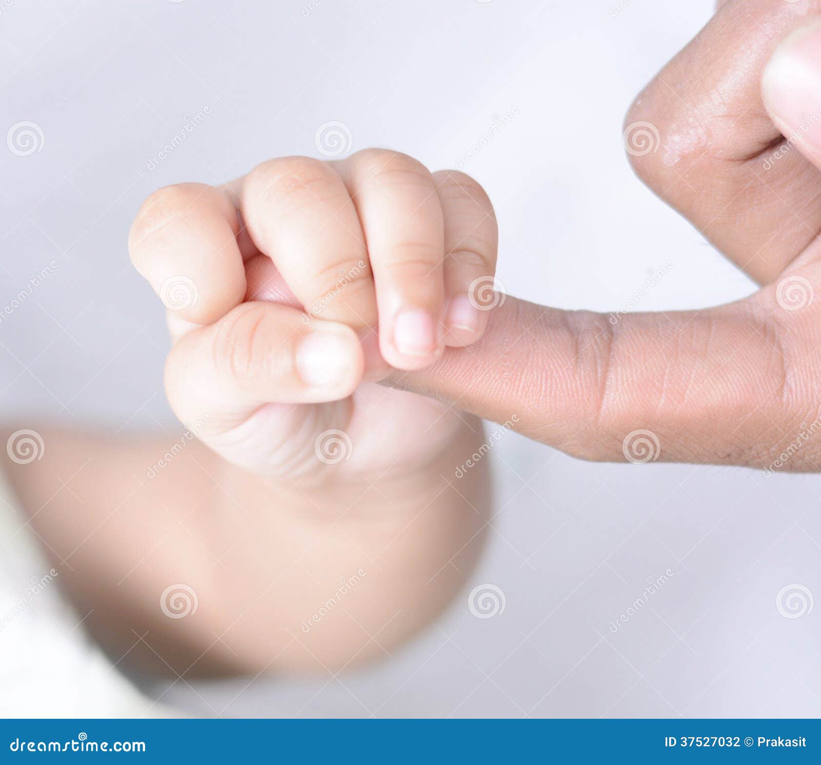 Infant new born hand stock photo. Image of caucasian - 37527032