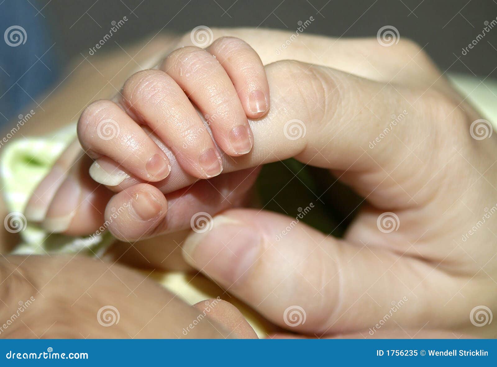 An infant s touch. stock image. Image of touch, live, infant - 1756235