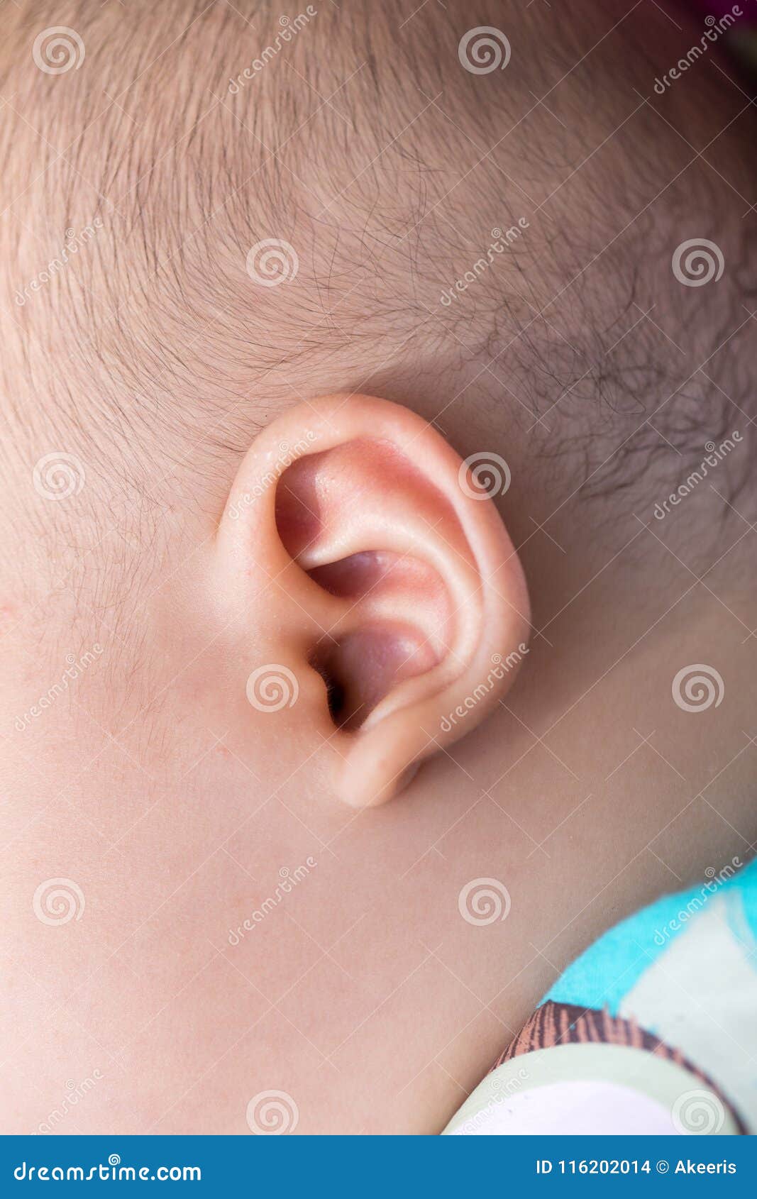 An Infant Small Ear Close-up Showing Skin Texture. Stock Photo - Image ...
