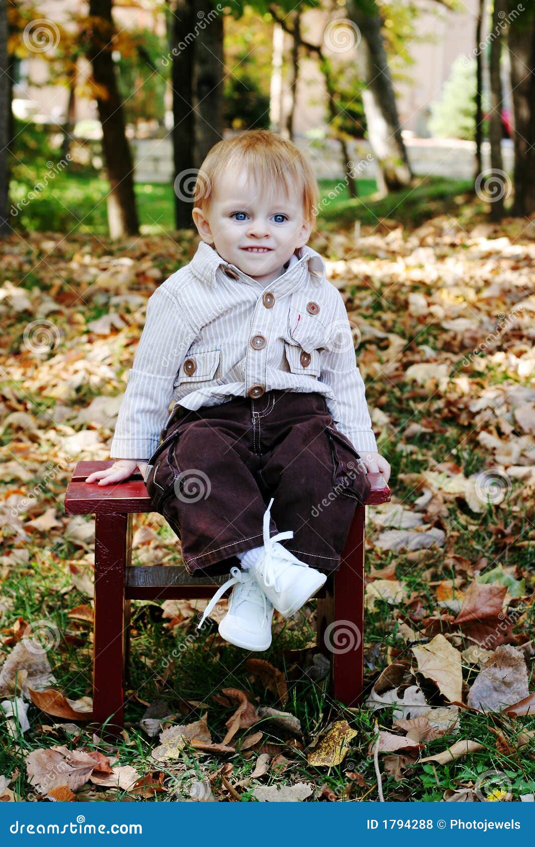 Infant in the trees stock photo. Image of trees, jacket - 1794288