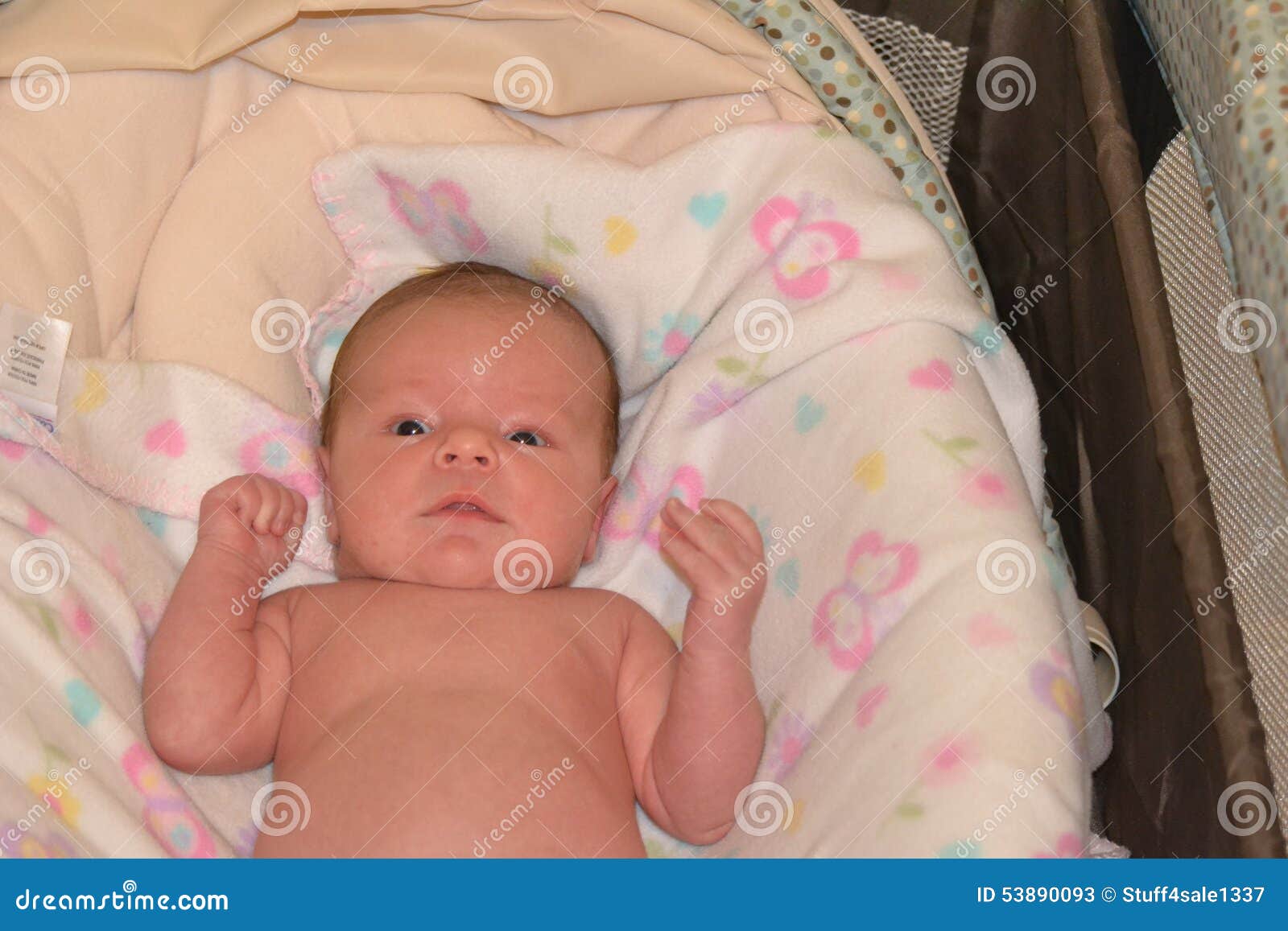 Infante imagem de stock. Imagem de bebê, infante, borboleta - 53890093