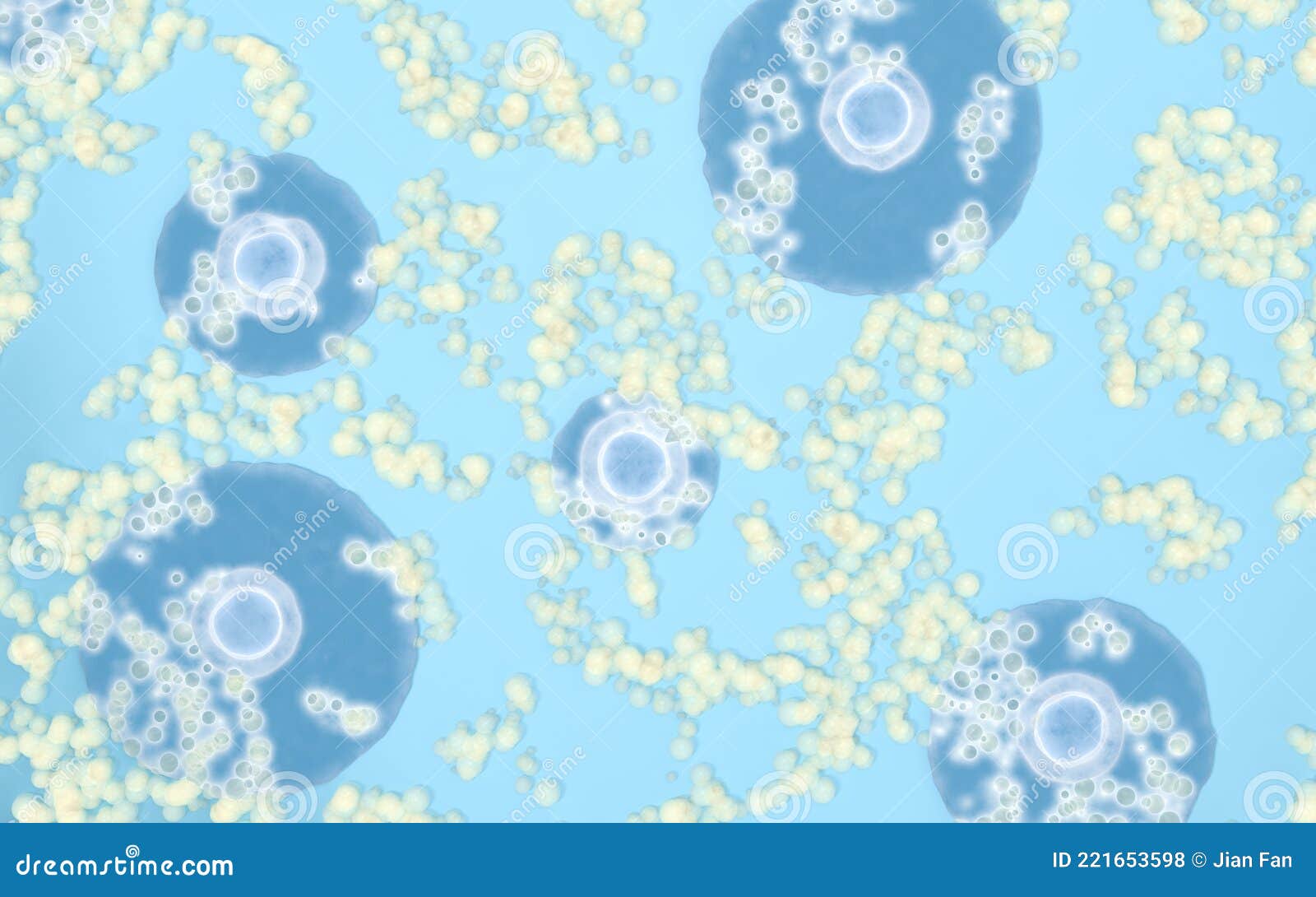 Infected Bacteria, Germs and Fungus, 3d Rendering Stock Illustration ...