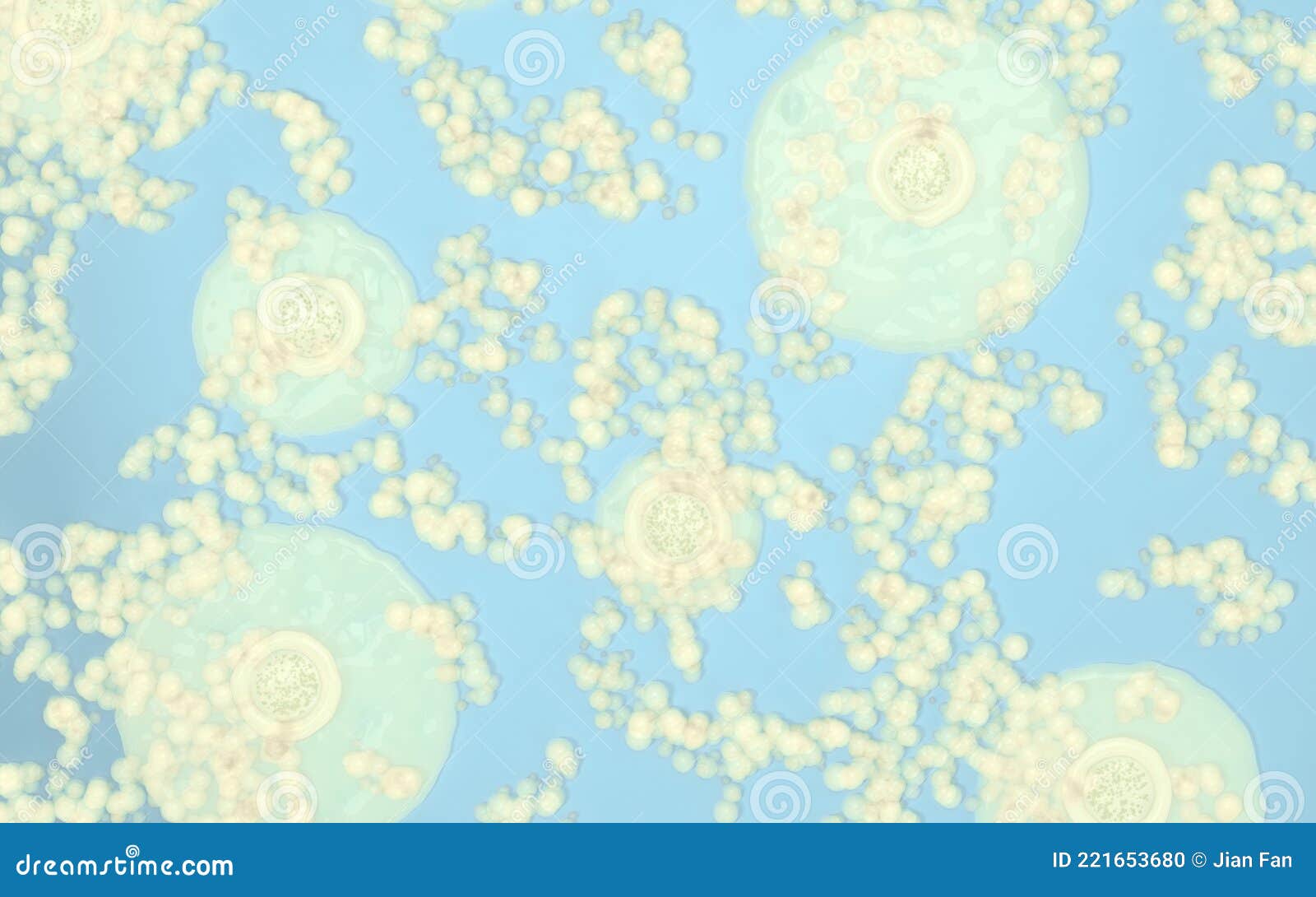 Egg Infected With Bacteria And Viruses, A Cautionary Symbol For ...