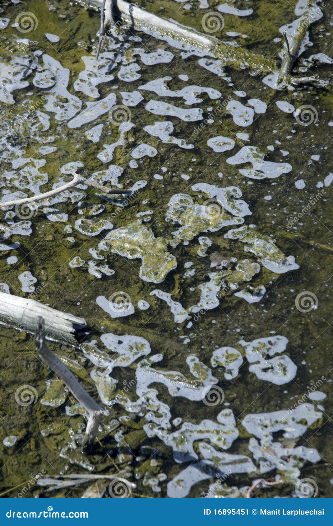 Infected water stock image. Image of destruction, devastated - 16895451