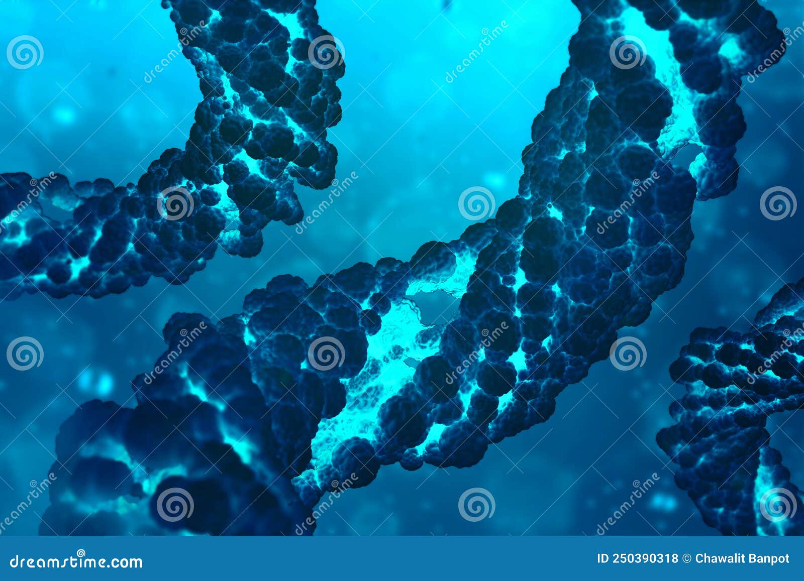 Infection Virus Bacteria Cell Micro Microscope Inside Interior Human ...