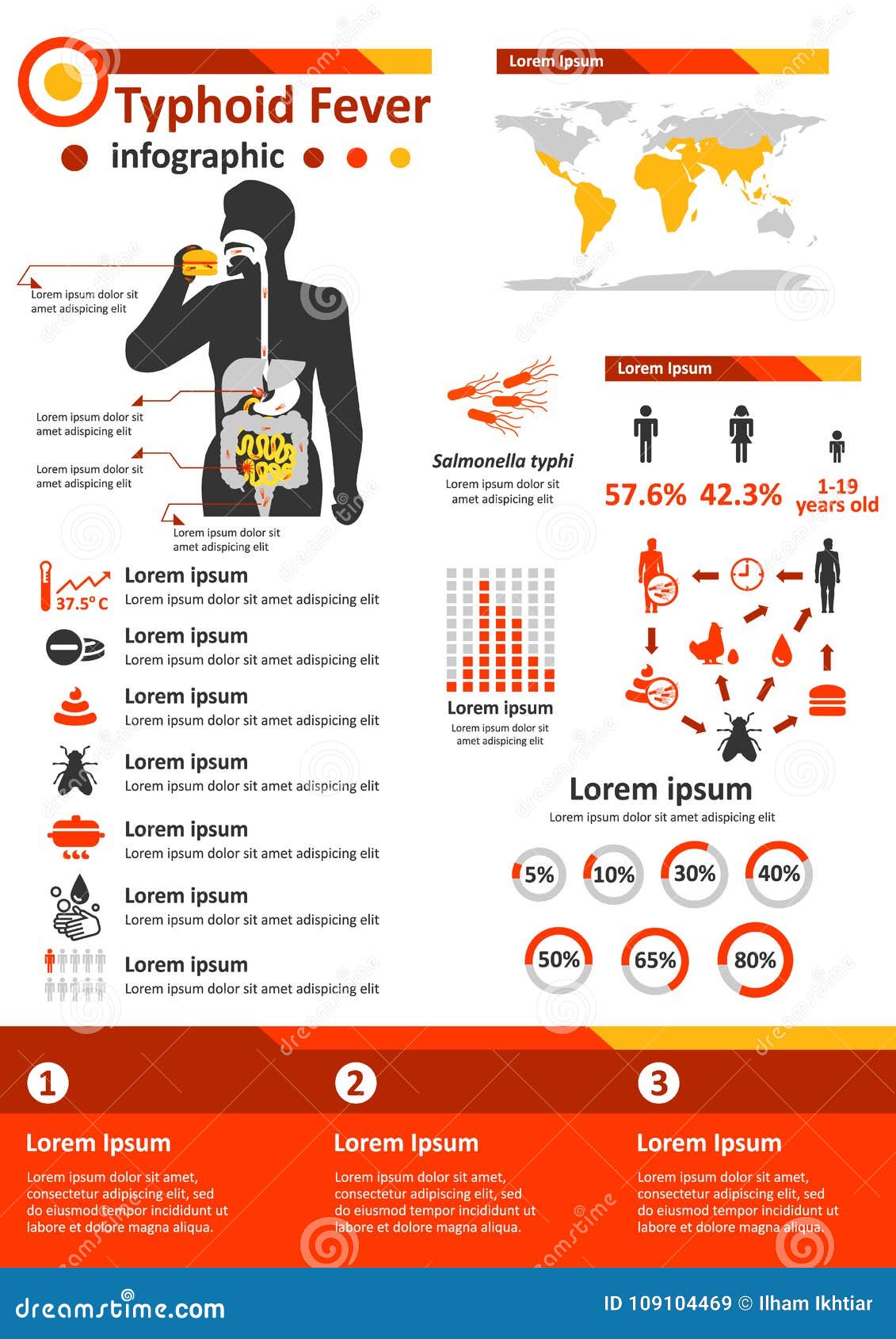 Infektionskrankheit Infographics - Typhus Vektor Abbildung ...