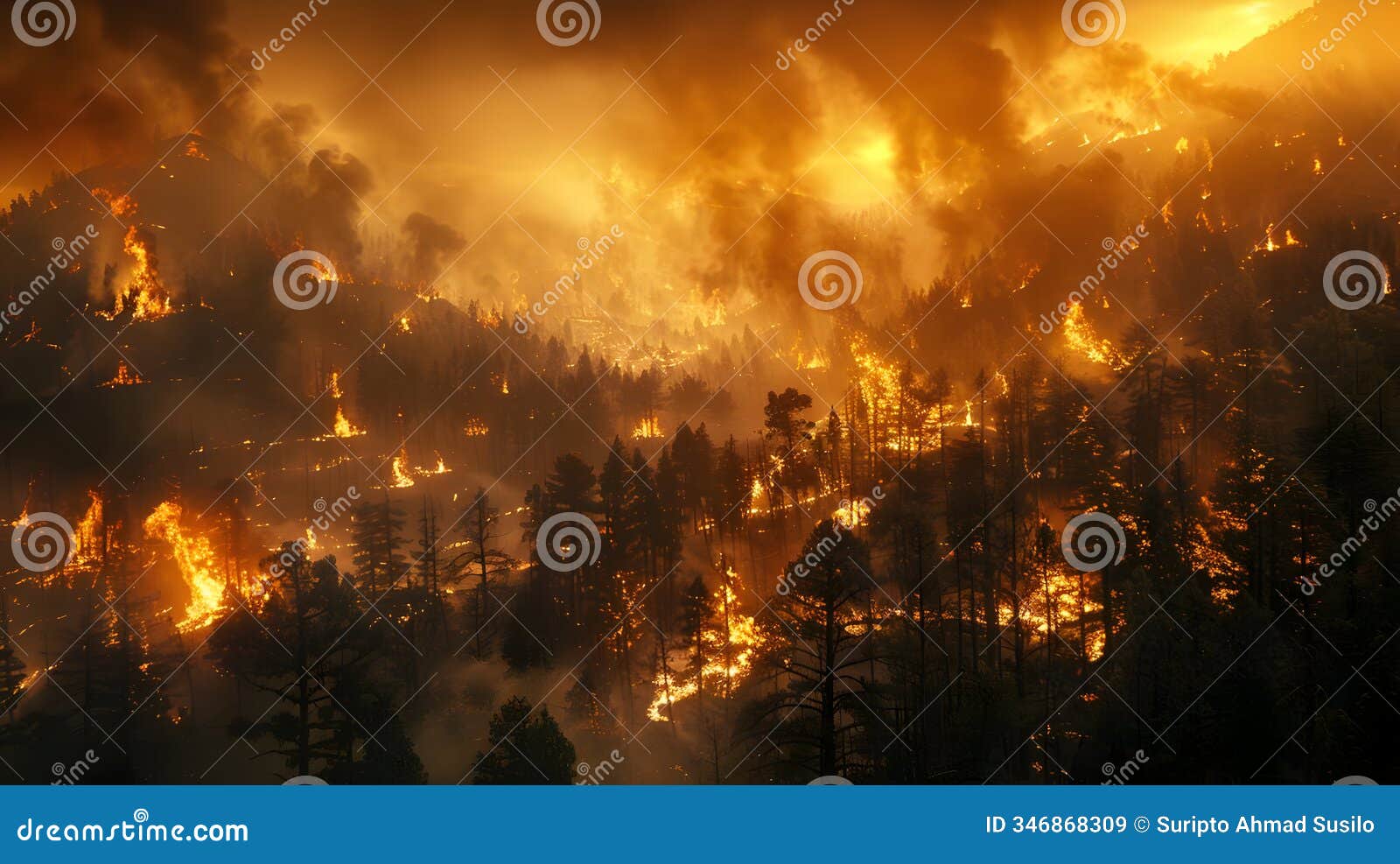 Inferno: A Forest Consumed By Flames Stock Photo | CartoonDealer.com ...