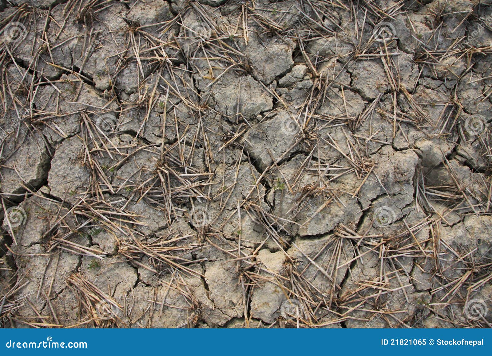 Infertile Land stock image. Image of retro, global, developing - 21821065