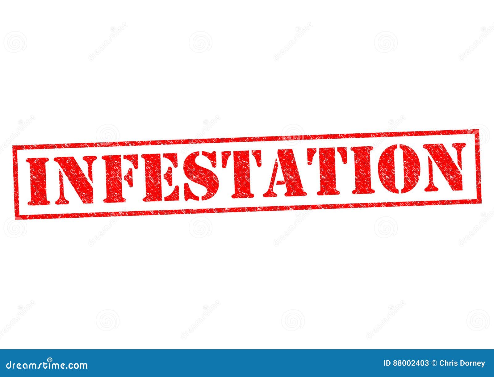 Infestation illustration stock. Illustration du infection - 88002403