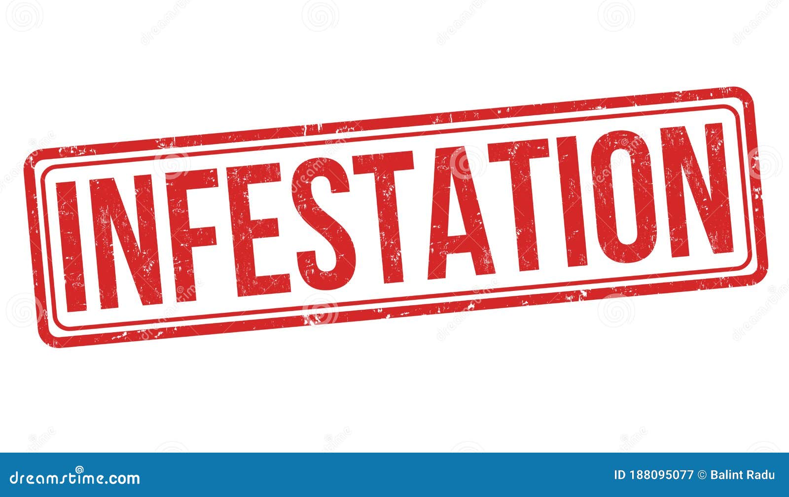 Infestation sign or stamp stock vector. Illustration of background ...