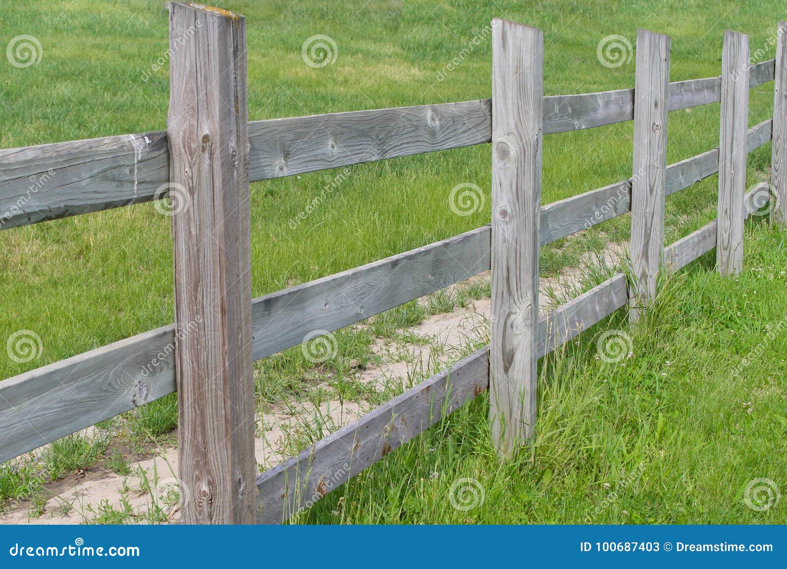Infinite Fence with Green Grass Stock Image - Image of focused, grass ...