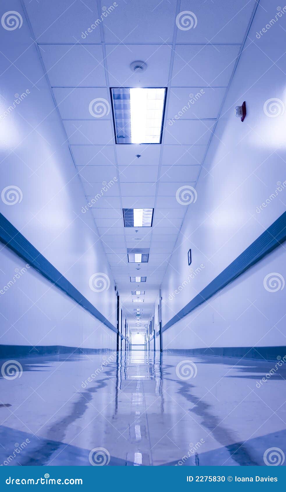 Infinite hallway stock photo. Image of fluorescent, blue - 2275830
