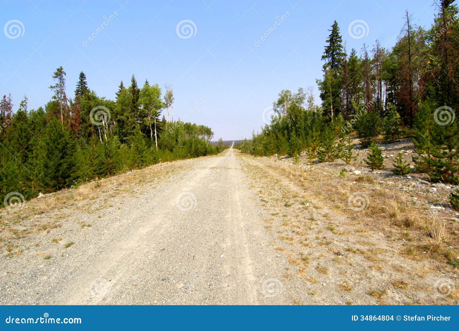 Infinite road Canada stock photo. Image of endless, unaffected - 34864804