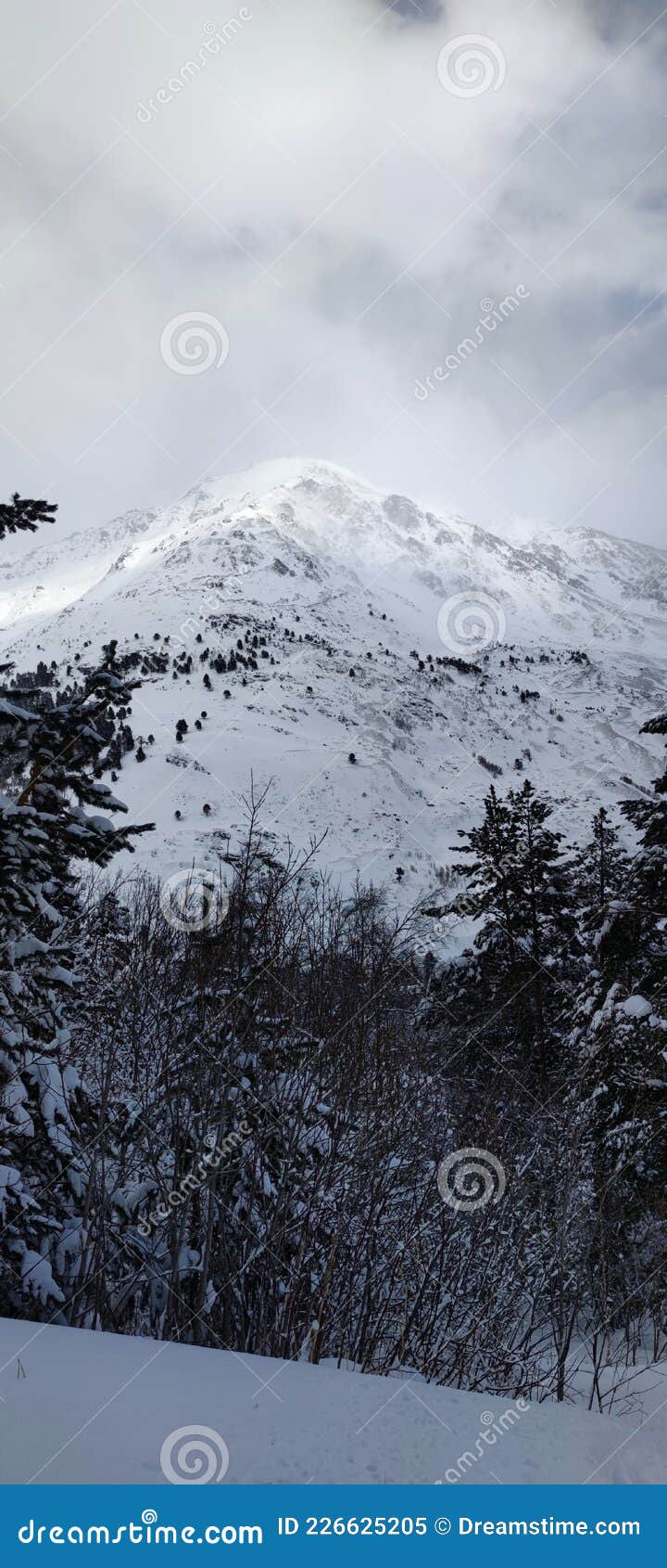 Infinitely Beautiful Snowy Wild Mountain Stock Image - Image of frost ...