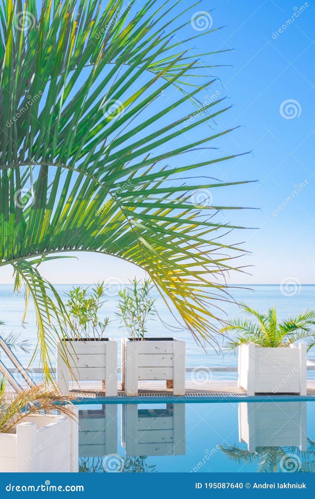 Infinity Luxury Swimming Pool on the Beach Stock Photo - Image of ...