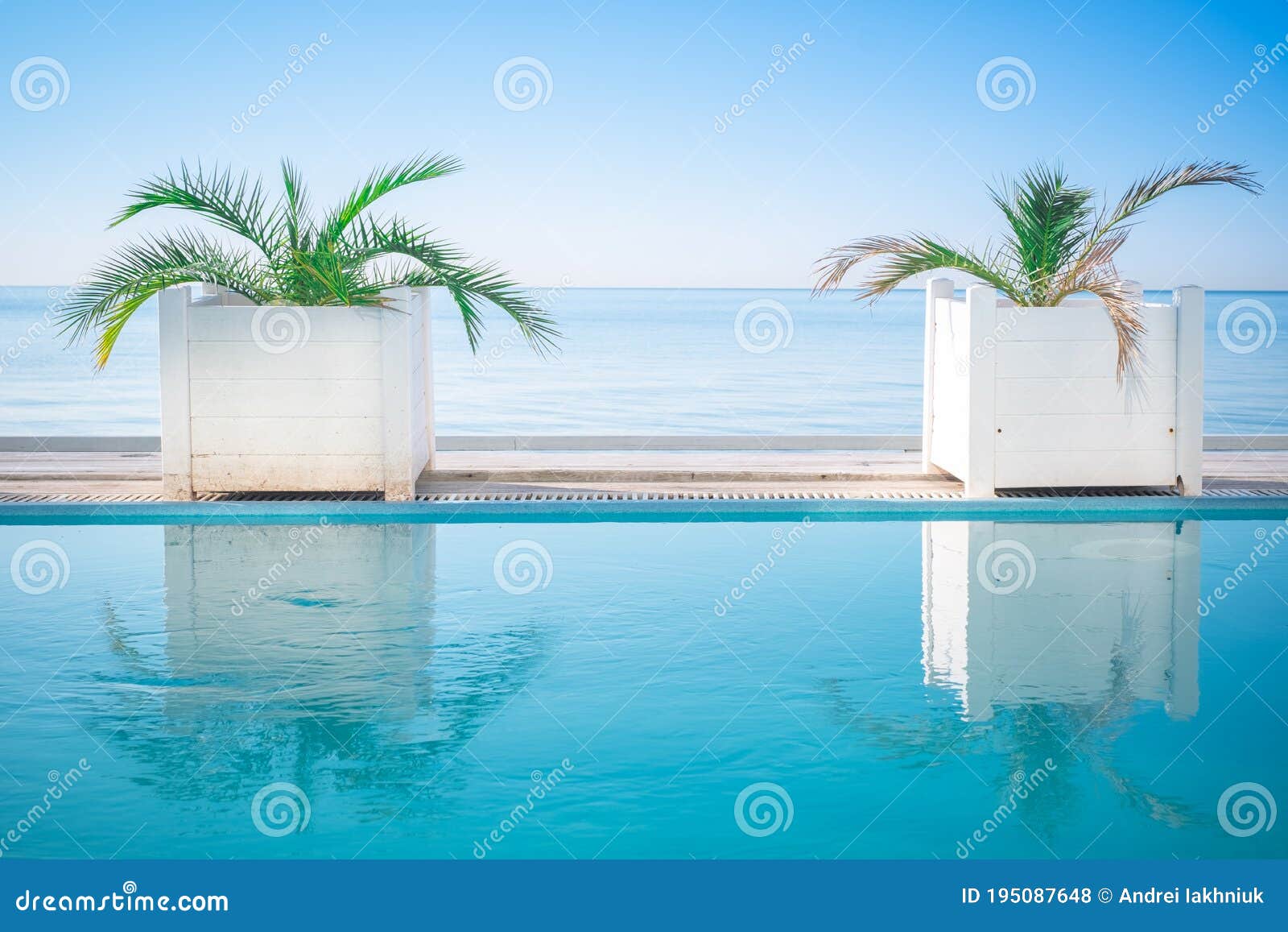 Infinity Luxury Swimming Pool on the Beach Stock Photo - Image of ...