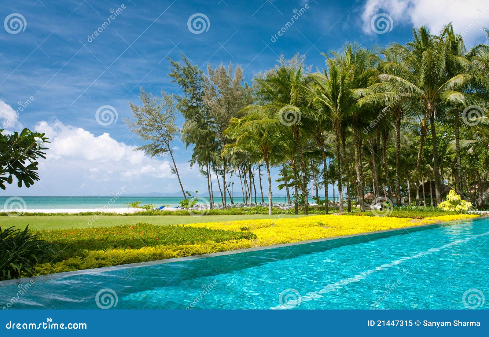 Infinity pool on a beach stock image. Image of infinity - 21447315