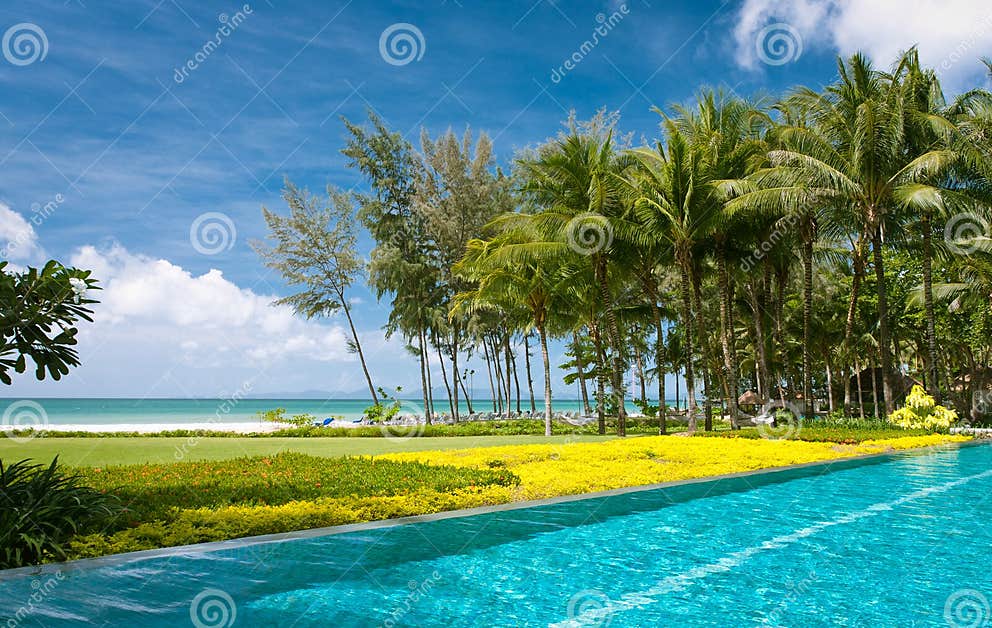 Infinity pool on a beach stock image. Image of infinity - 21447315