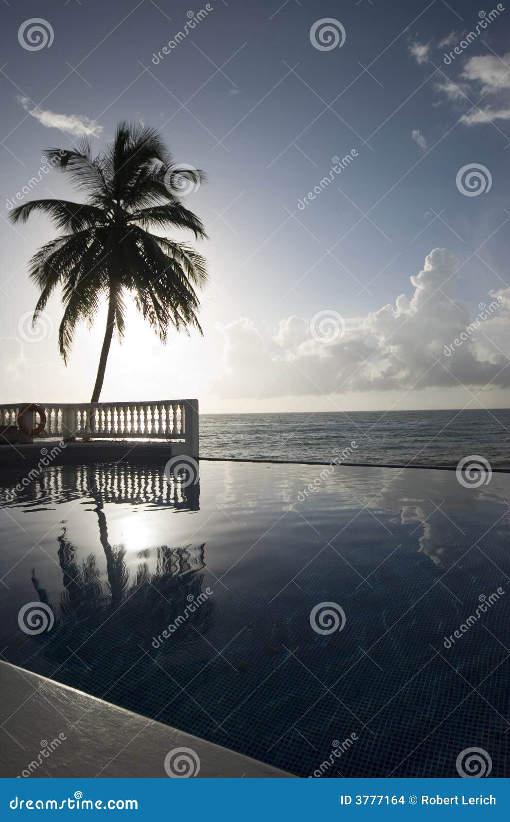 Infinity Pool with Float Caribbean Sea Stock Photo - Image of island ...