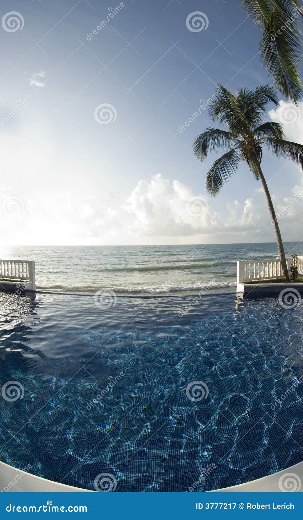 Infinity Pool with Float Caribbean Sea Stock Image - Image of pool ...
