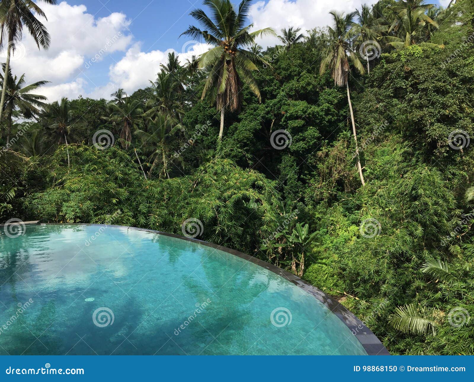 Infinity Pool Next To the Jungle Stock Photo - Image of jungle, pool ...
