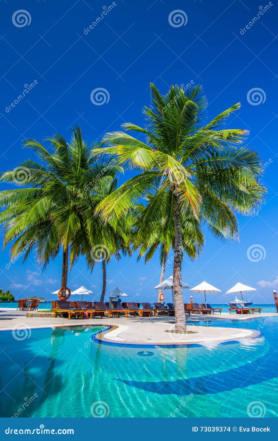 Lagoon And Palm Trees At Josone Park - Parque Josone Varadero Cuba ...
