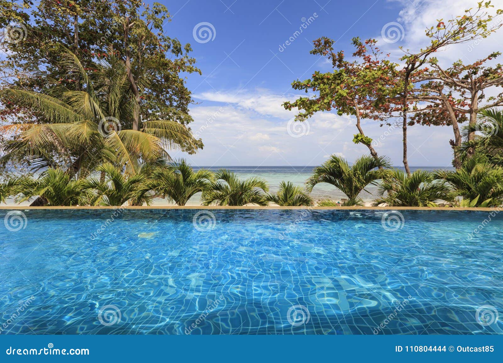 Infinity Pool Overlooking the Beach in Phi Phi Don Island in Krabi ...