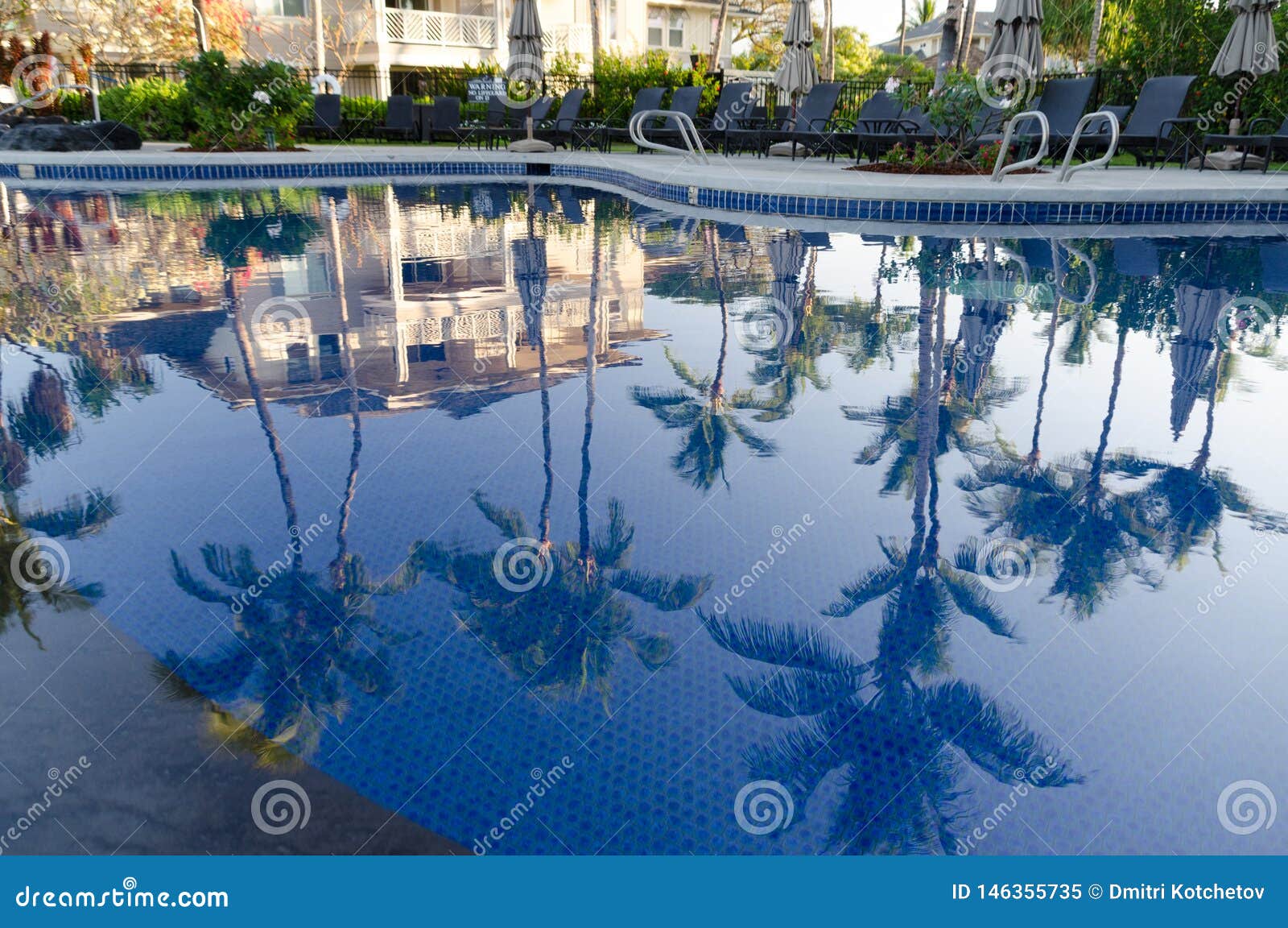 Infinity Pool with Palm Trees Reflections in Waikoloa Stock Image ...